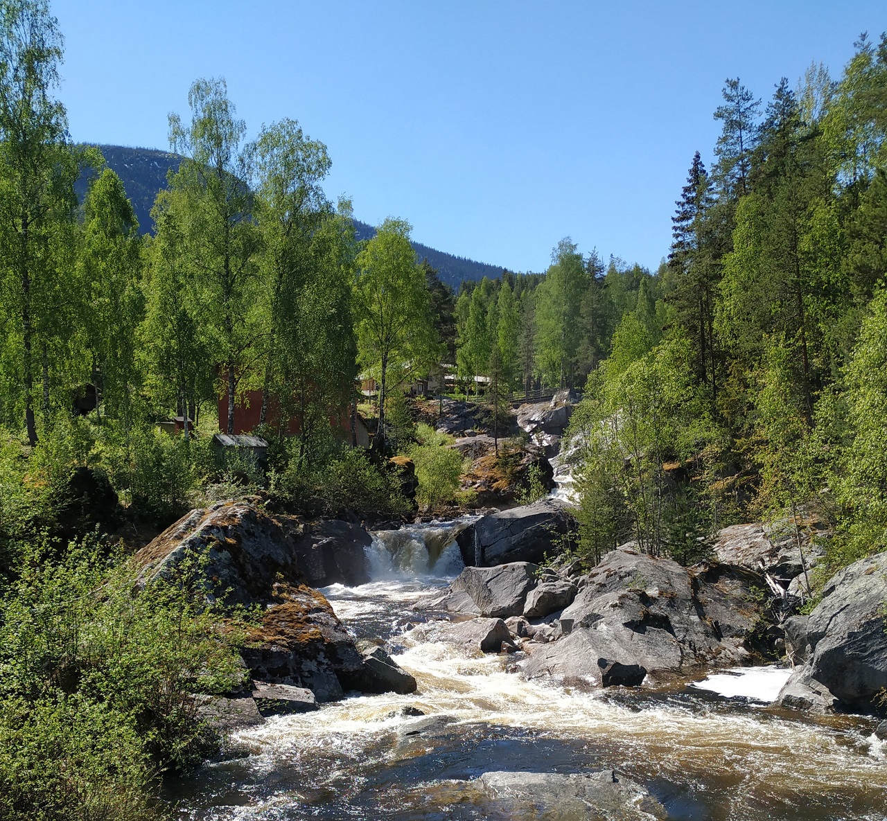 Swimming In Norway (Everything You Need To Know!) - The Norway Guide