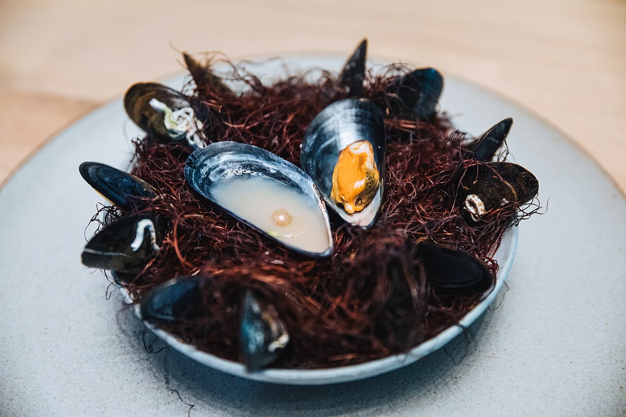 Travel Tip: Under - An Underwater Restaurant - The Norway Guide