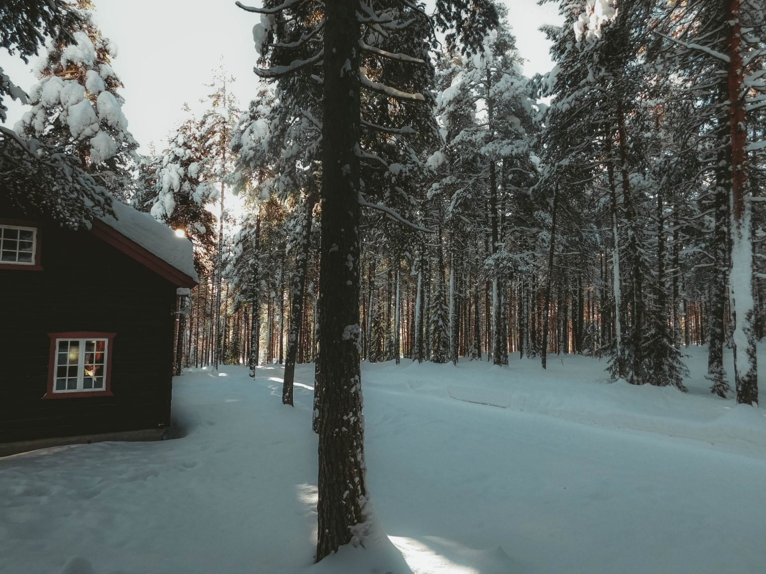 Why Norwegian Babies Are Napping Outside In Freezing Temperatures - The ...