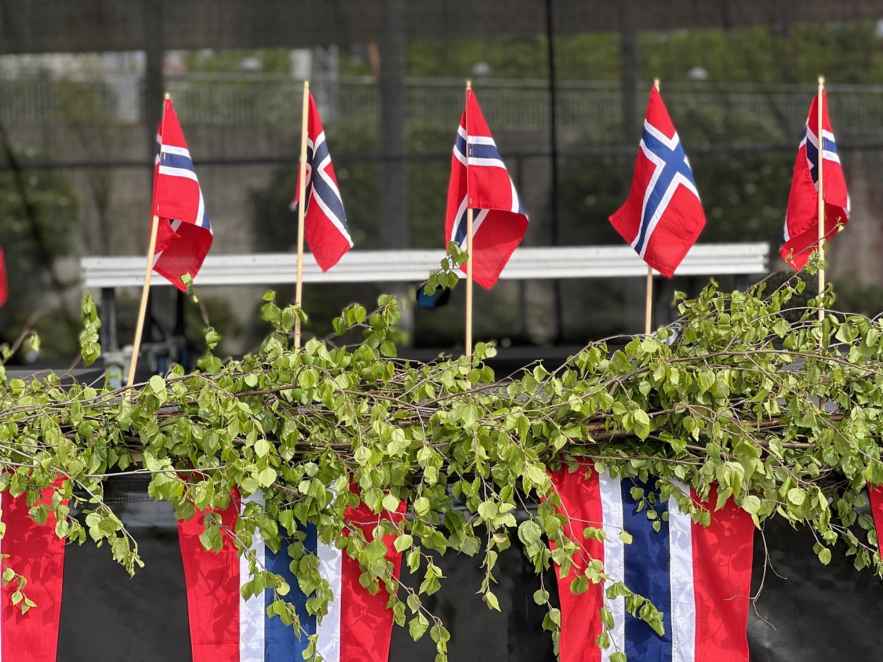 Norwegian Flag Rules Explained (Laws And Regulations For Flagging In ...