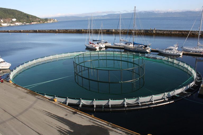 Ocean Fishing In Norway: Fishing In The Fjords Or The Sea - The Norway ...