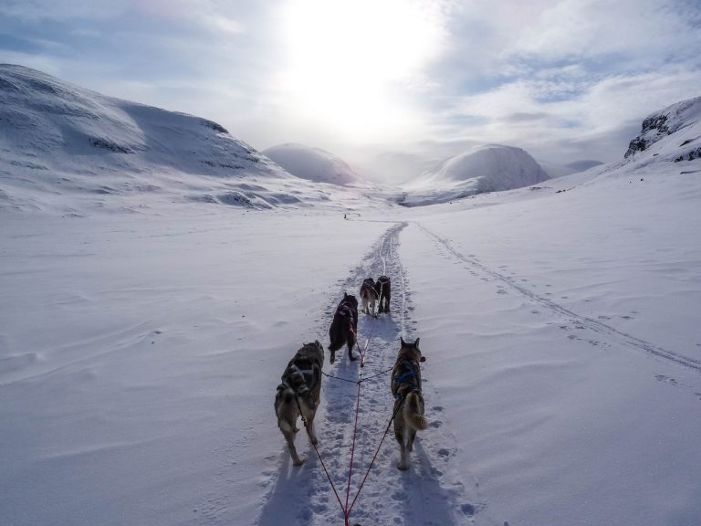 Norway In December: Complete December Travel Guide To Norway - The ...