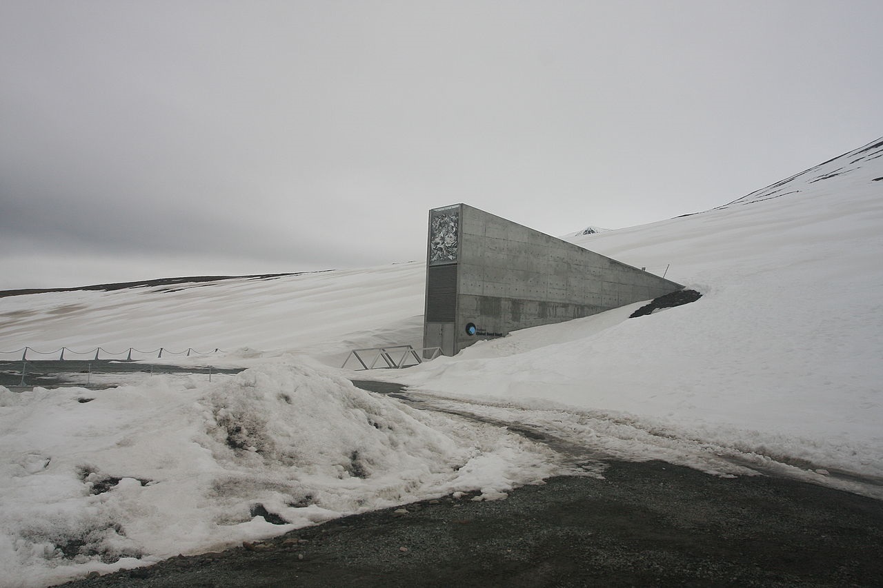 How To Visit Svalbard Global Seed Vault - The Norway Guide